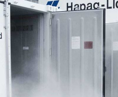 Globalization relies on reefers - Container News