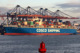 Pacific drives COSCO Shipping's Q3 earnings - Container News