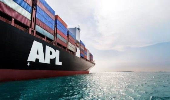APL changes terminal in Manzanillo - Container News