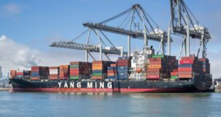 Yang MIng Archives - Container News