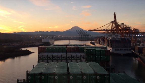 NWSA container volumes plunge in March due to ongoing pandemic ...