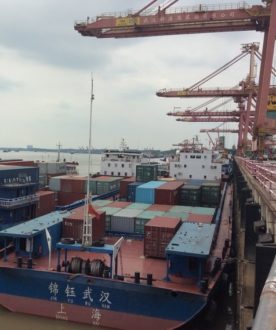 Wuhan’s container ports return to normal operations - Container News