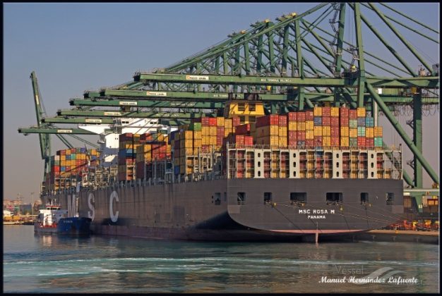 MSC Rosa M damages Mumbai crane - Container News