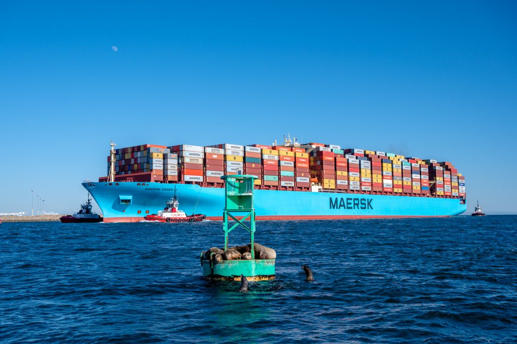 C2X secures US$100 million investment to advance green methanol ...