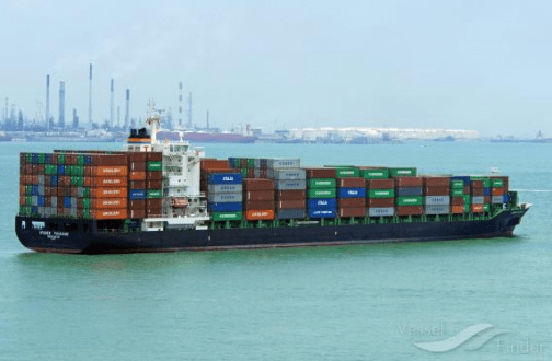 RCL continues boxship acquisition string - Container News