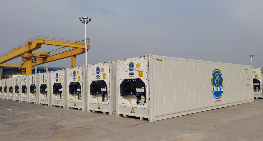 Great White Fleet adds 850 Carrier Transicold PrimeLINE Units ...