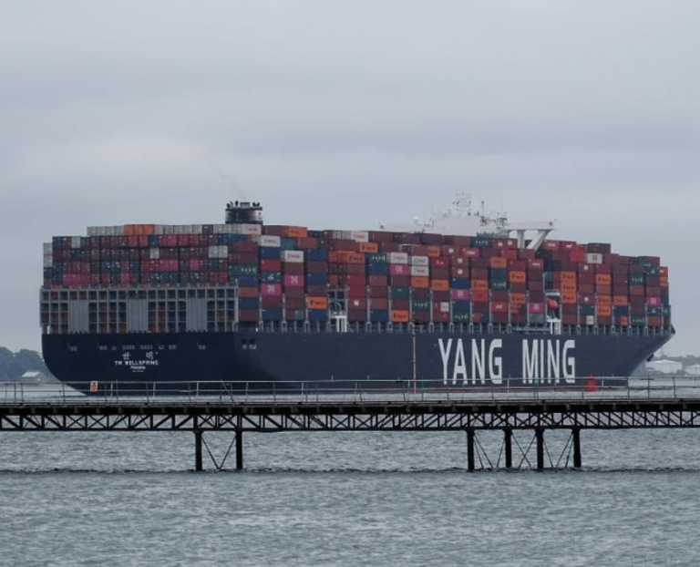 Yang Ming to join league of 24,000 TEU ships - Container News