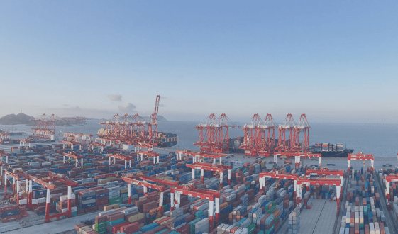 New container terminal plans at Shanghai port - Container News