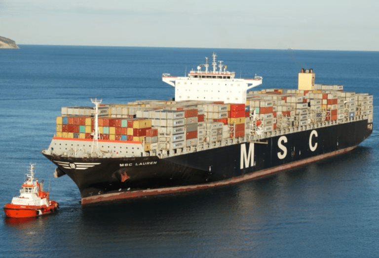MSC revises voyage numbers on Andes service - Container News