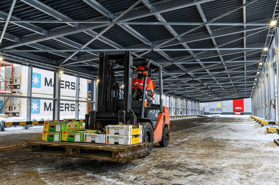 Global Ports expands inspection capacities at two terminals - Container ...