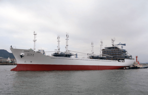 China’s first ultra-low temperature reefer ship delivered - Container News