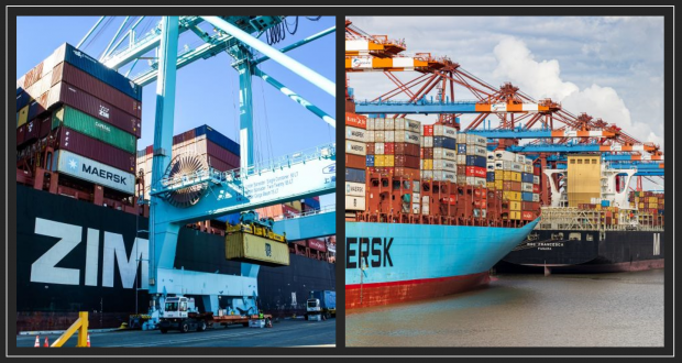 2M Alliance, ZIM continue cooperation on USEC and USGC trades ...