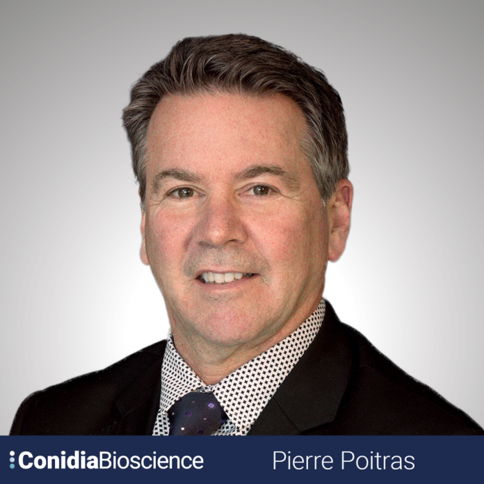 Bio-content in marine fuel helps reduce emissions – but will it leave ...