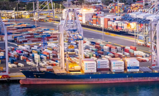 Ports of Auckland halts container terminal automation project ...