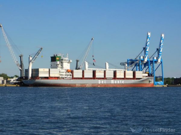 Fresh Del Monte’s NWS offers cargo solutions to a wider audience ...