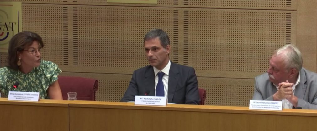 CMA CGM boss Rodolphe Saadé shares his vision with French senators ...