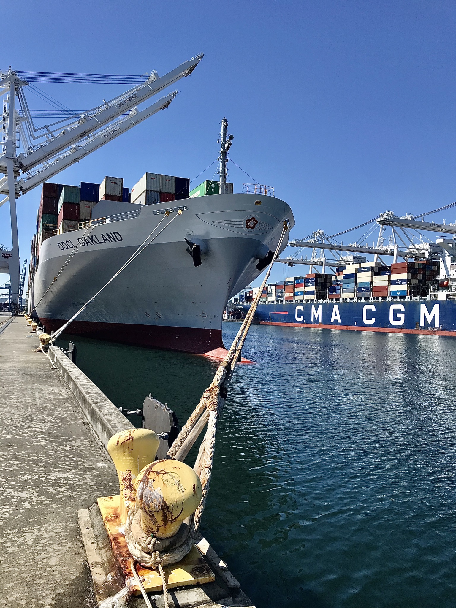 CN Photo Project: The Picture of the Week - Container News