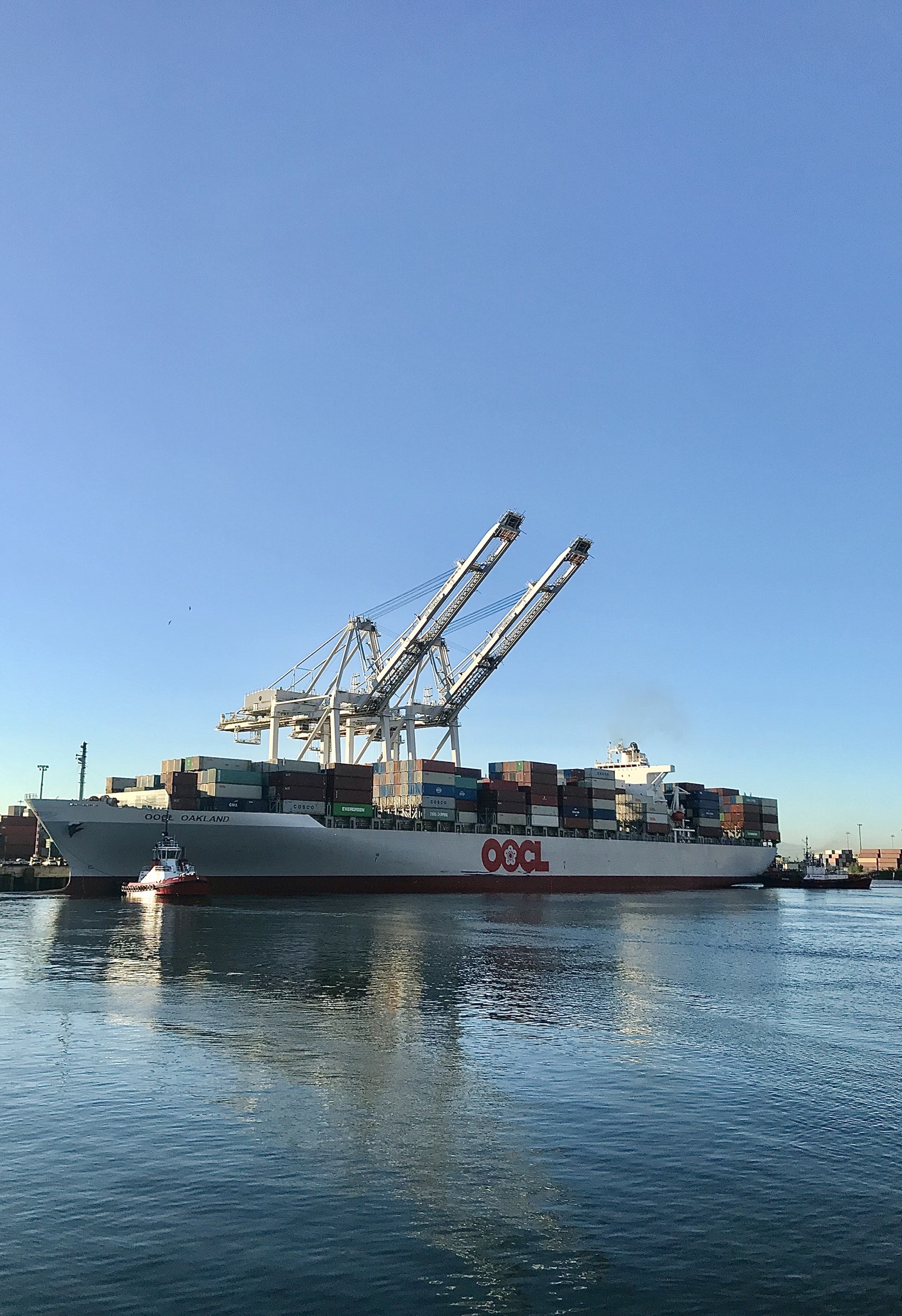 CN Photo Project: The Picture of the Week - Container News