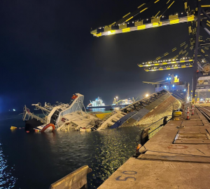 Cargo vessel capsizes and sinks at Turkish port - Container News
