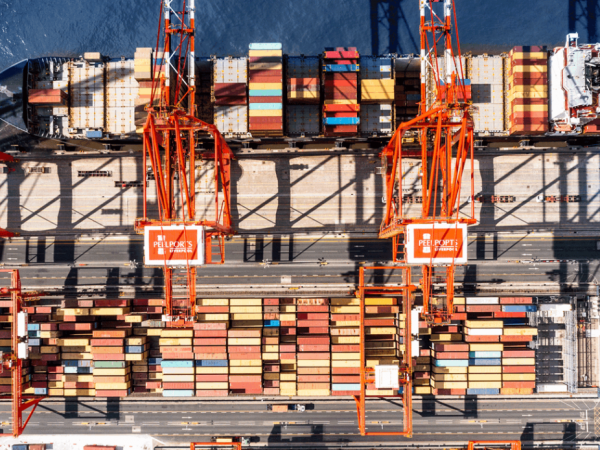 Peel Ports acquires HES Humber Bulk Terminal - Container News