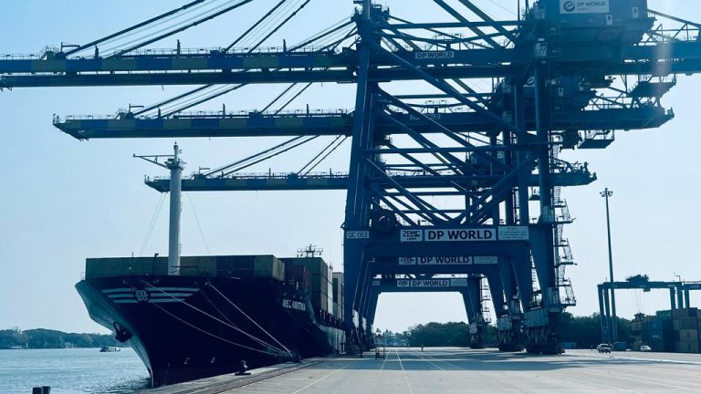 MSC adds South India-Middle East string for transshipment trade ...