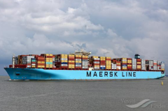 Sea-Intelligence examines alliance structures and MSC 2025 network ...