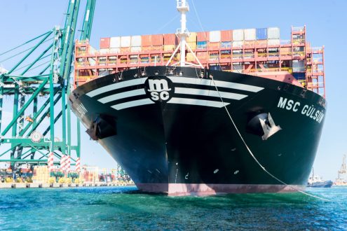 MSC enhances Asia-Middle East trade network - Container News