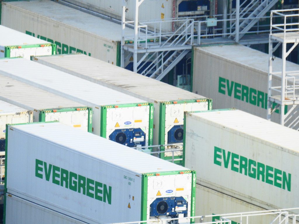What is a reefer container? Dimensions and how they work - Container News