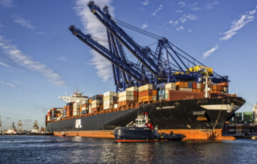 Emerging markets power 2024 container trade - Container News