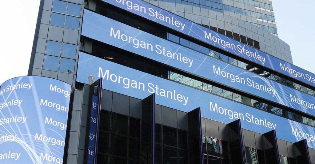 Morgan Stanley confirms investment in Pasha Group - Container News