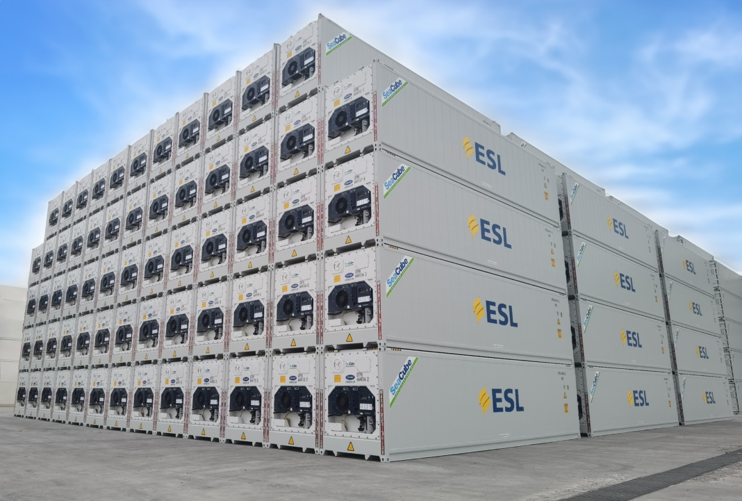 Emirates Shipping Line debuts reefer container order - Container News