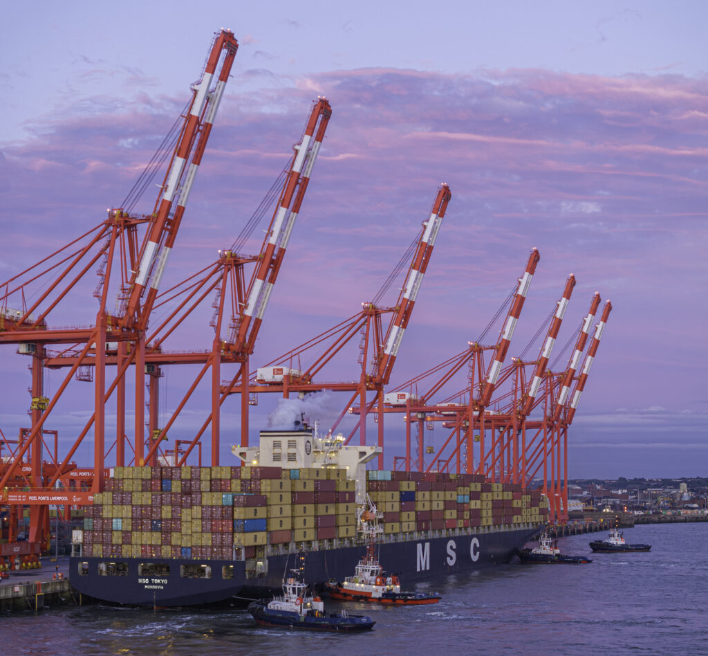 MSC increases rates from North Europe to North Med - Container News
