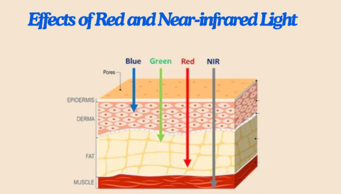 Red Light Therapy 101: Learn the Basics of Red & Near Infrared (NIR ...