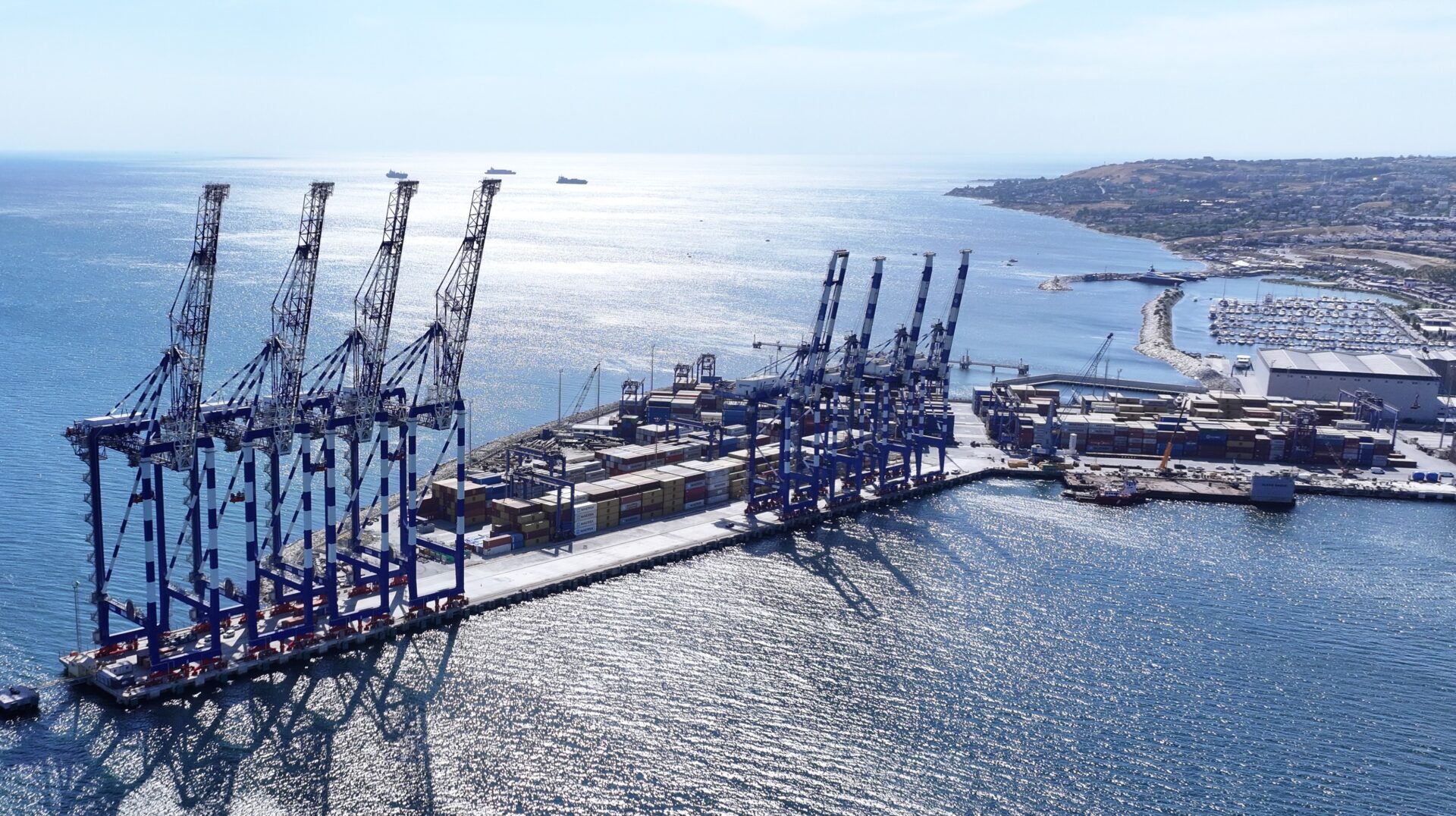 Marport invests in new terminal equiment - Container News