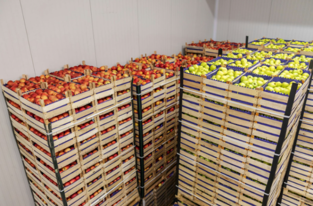 The Role of Logistics in Global Food Supply Chains: Ensuring Freshness ...