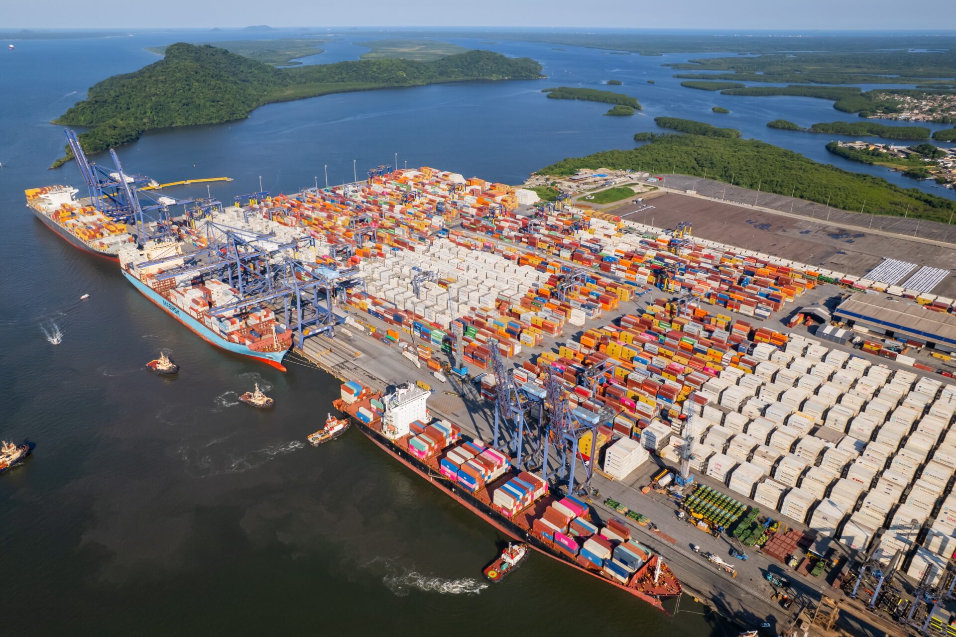 Paranaguá Container Terminal Sees Record Volumes For Poultry And Beef Shipments Container News