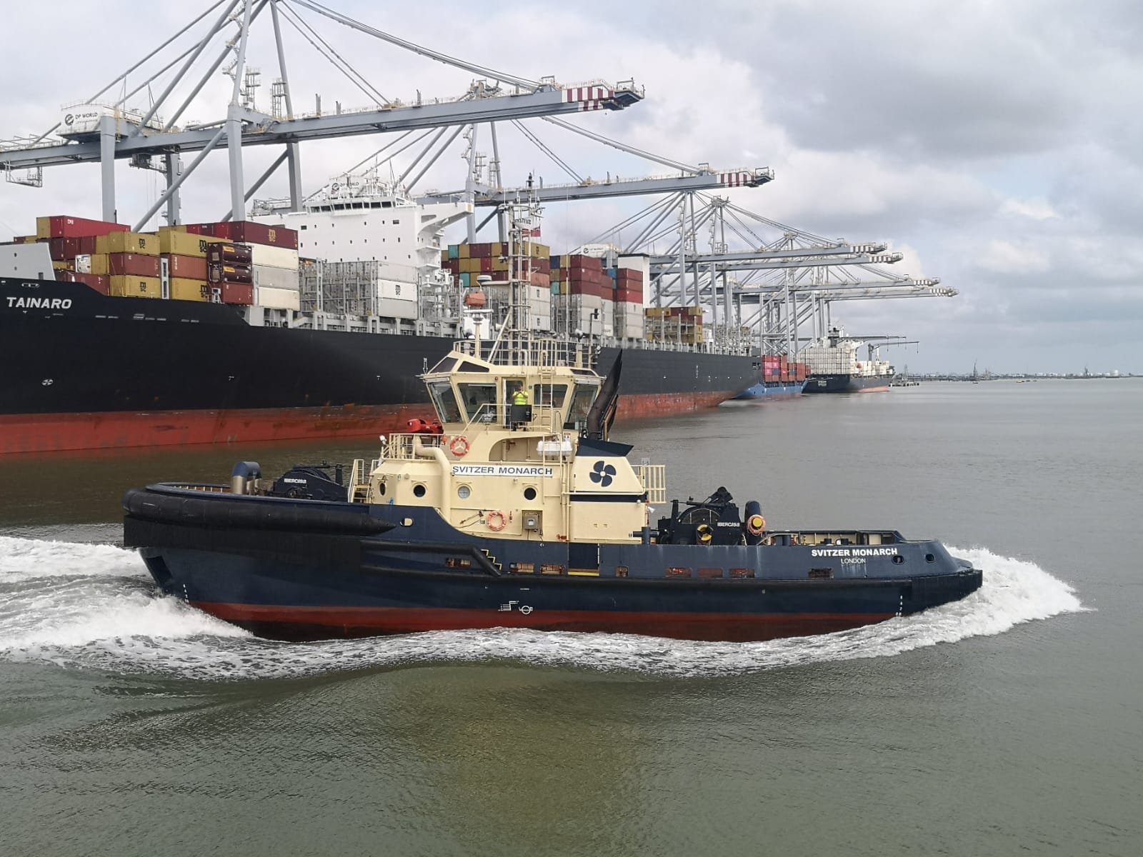 DP World expands Carbon Inset Credits Fivefold - Container News