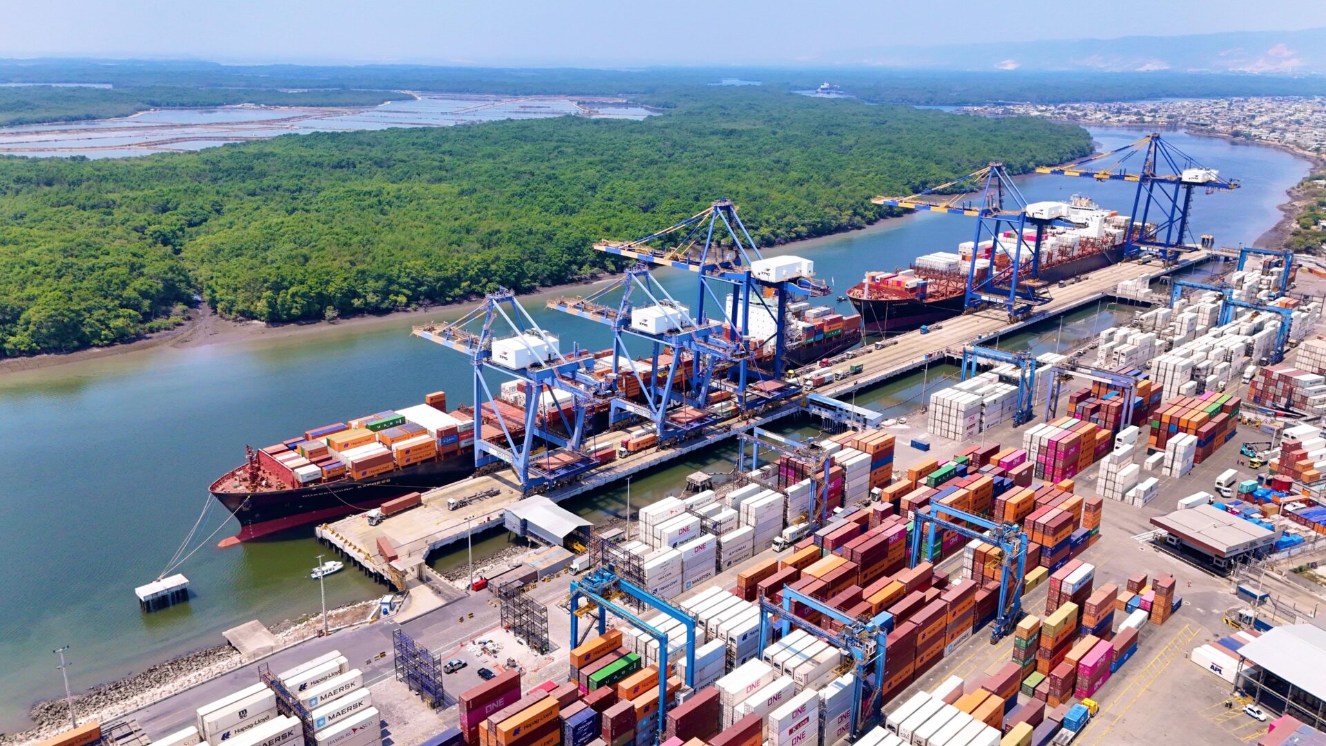 Hanseatic Global Terminals launches Latin America Division - Container News