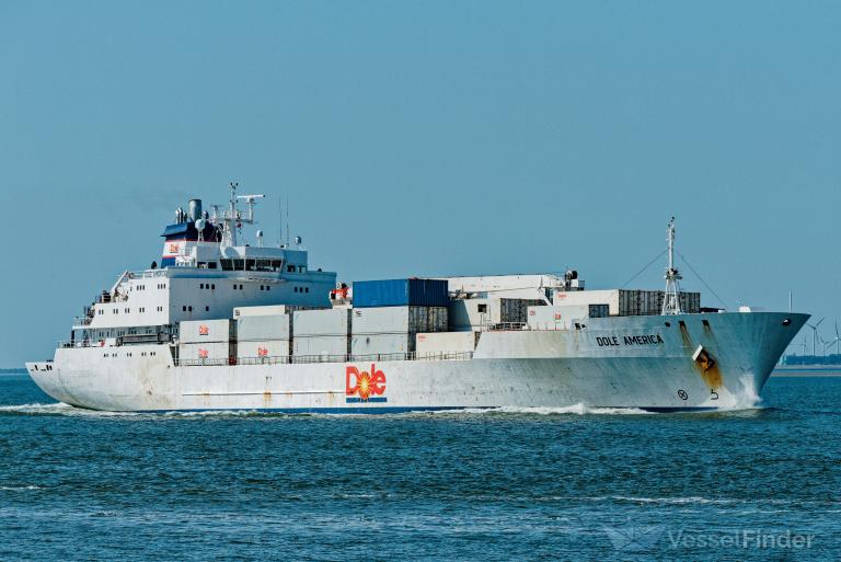 Dole Ocean Cargo express to raise Costa Rica THC - Container News