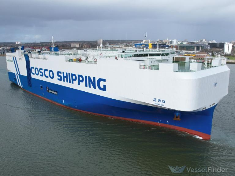 Port of Chancay welcomes largest RoRo vessel in its history - Container ...