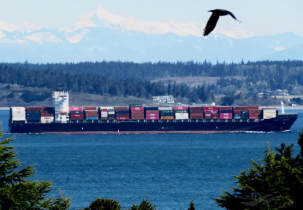 Shipping lines and owners in frenzy to avert Chinese port fees ...