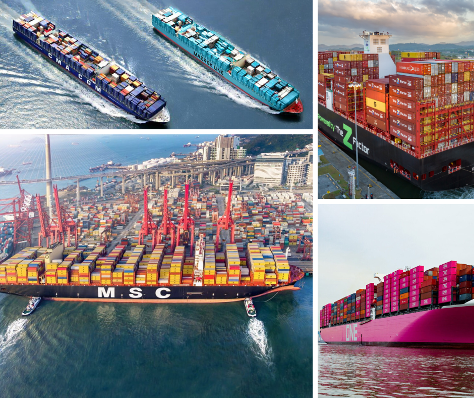 Shipping alliances carriers and MSC continue to control over 82% of ...