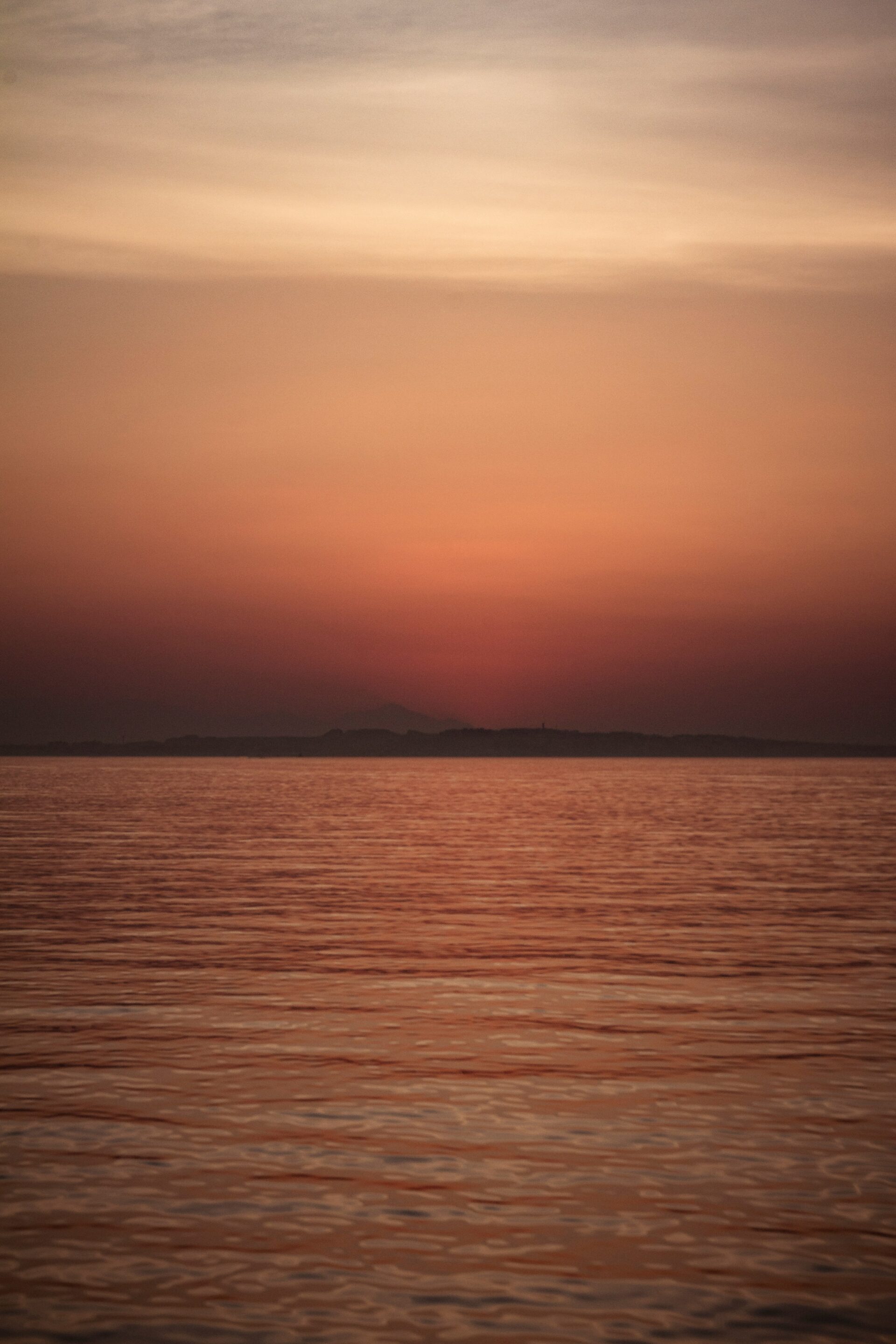 Sea-Intelligence: Impact of Red Sea re-opening - Container News