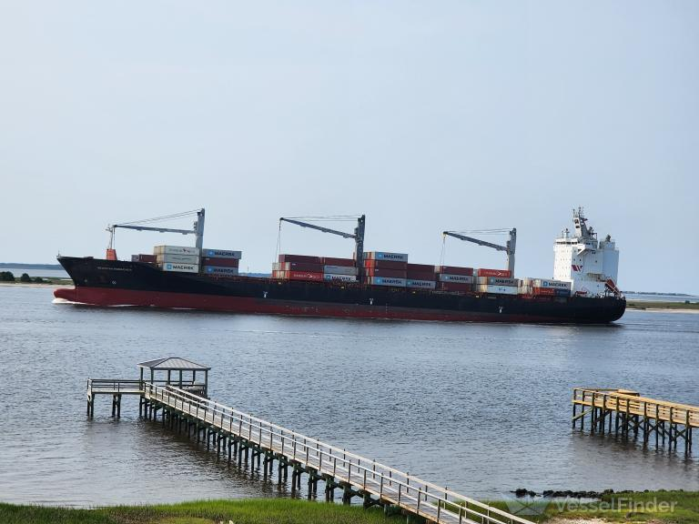 Transworld Shipping Lines announces results - Container News