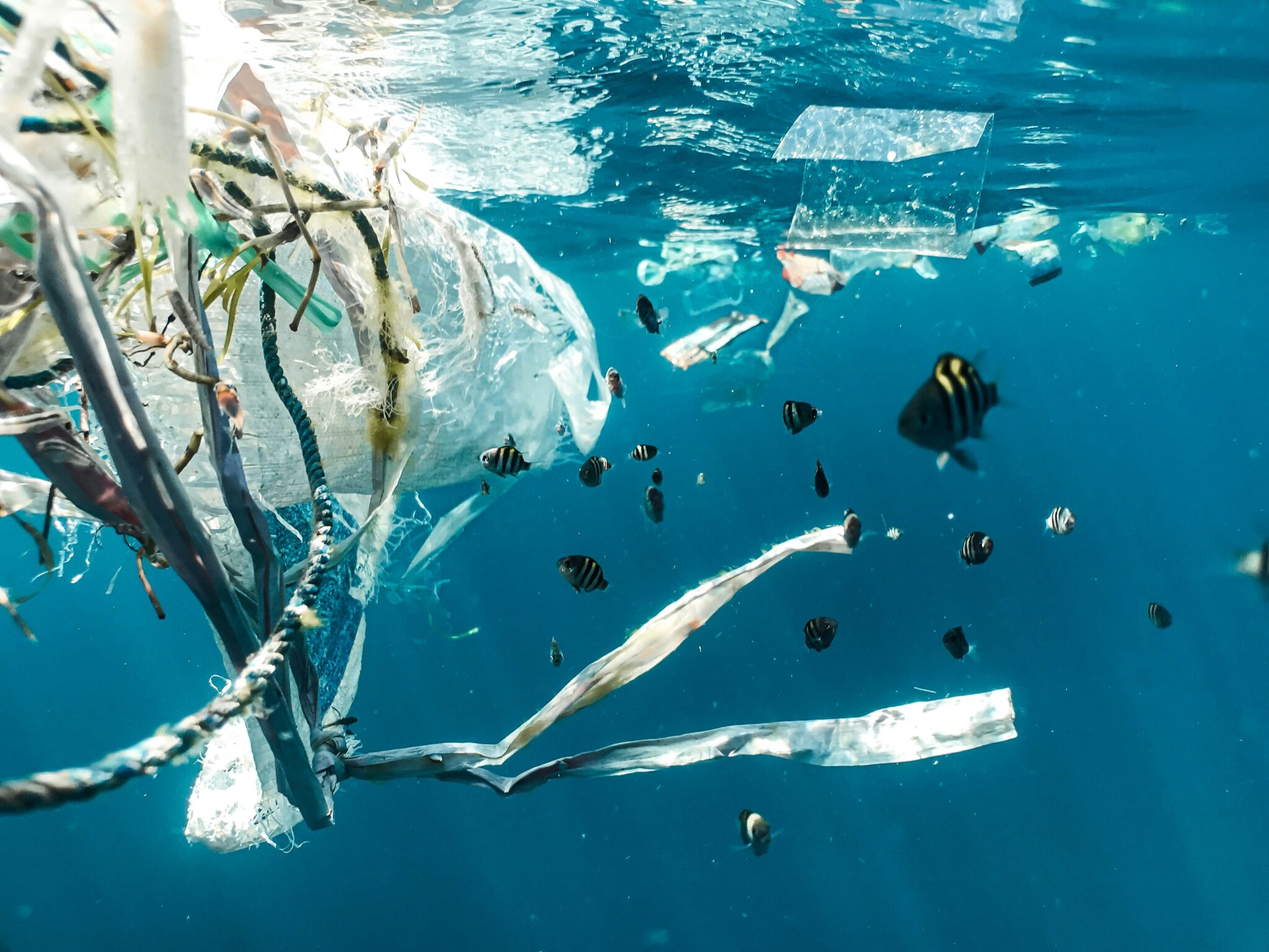 Maritime leaders launch MACS to combat ocean plastic pollution ...
