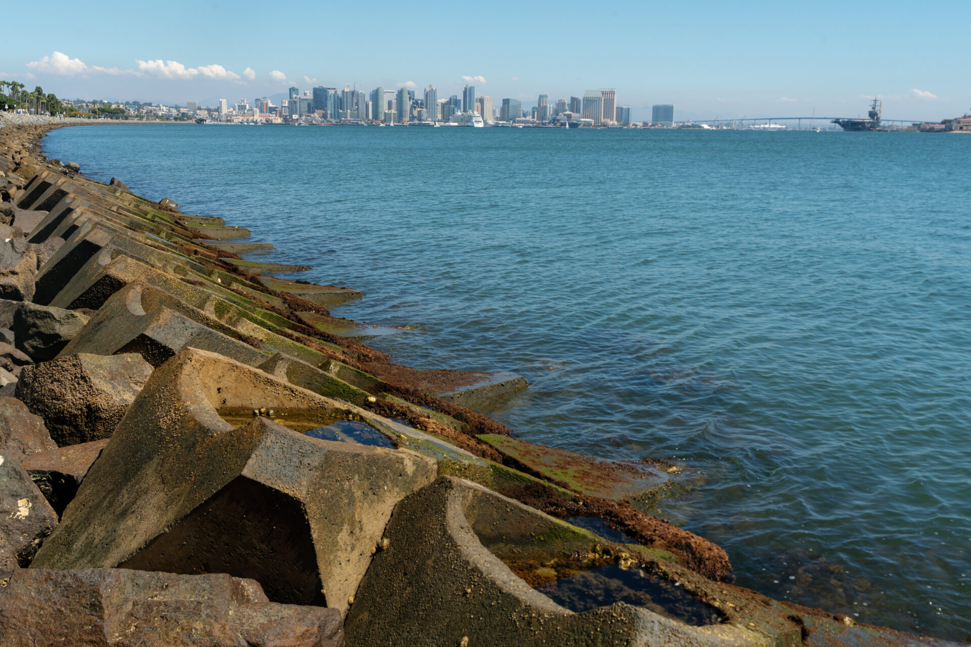 Port of San Diego scales up habitat-friendly shoreline programme ...